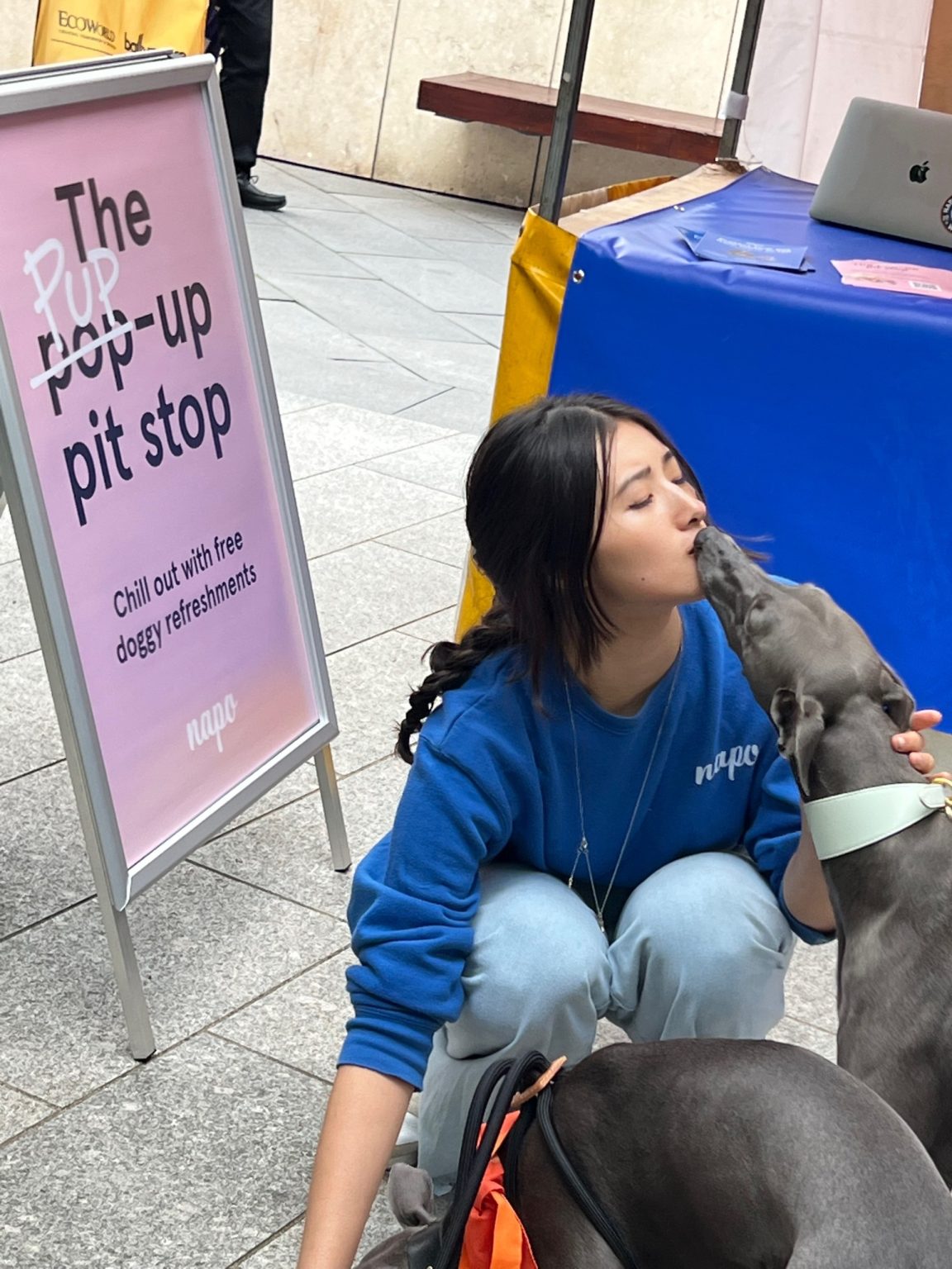 Amy Wei on disrupting the pet insurance industry - Fintech Intel